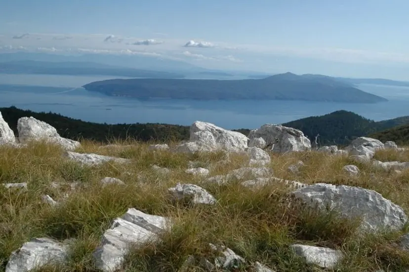 Ucka Trail, 09 Sep, 2023 (Sat) | Ahotu