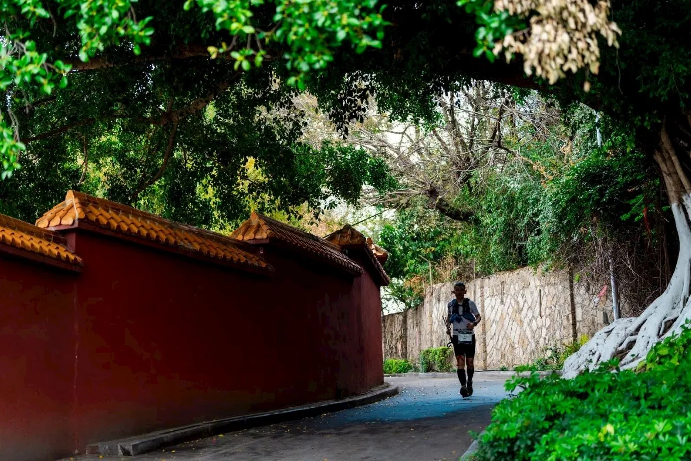 Ultra-Trail Xiamen by UTMB, 14-15 Mar, 2026 (Sat - Sun) | Ahotu