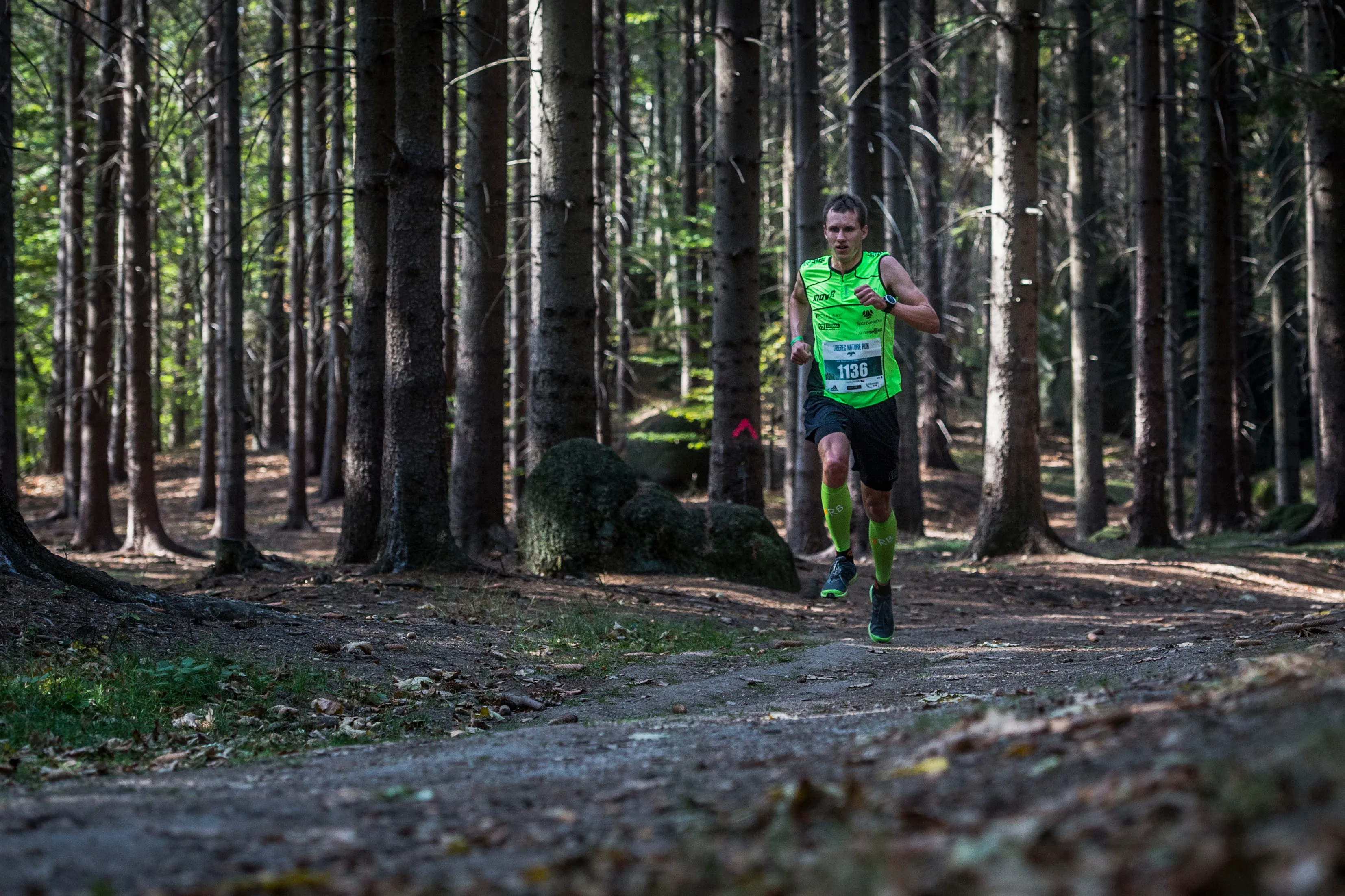 Mattoni Liberec Nature Run, 05 Okt., 2024 (Sa.) | Ahotu