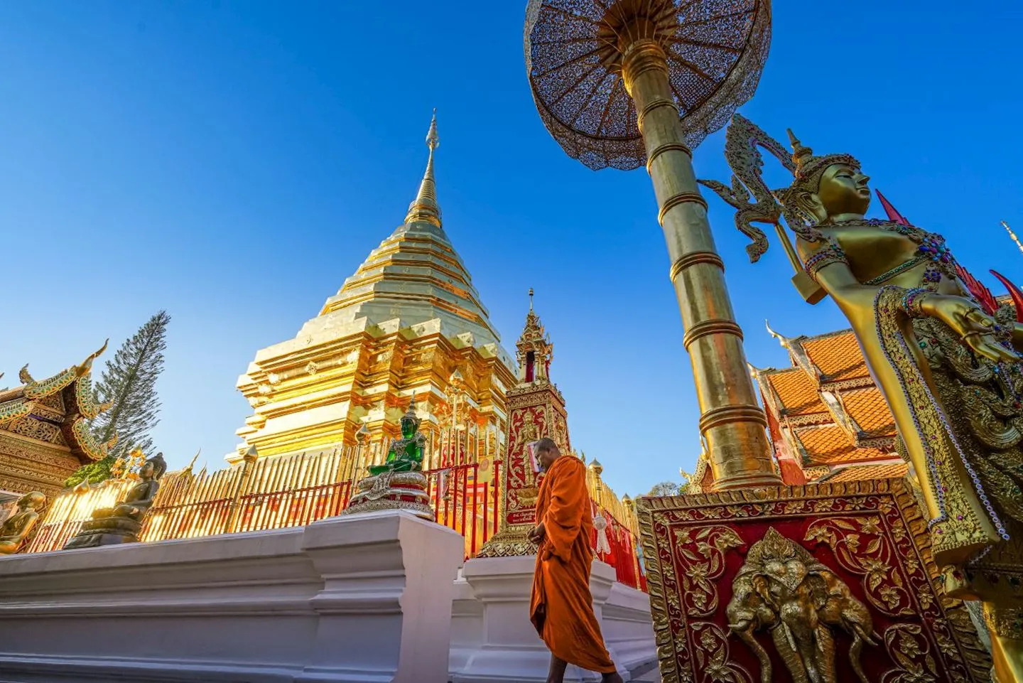 Chiangmai International Marathon, 14 Dec, 2025 (Sun) | Ahotu