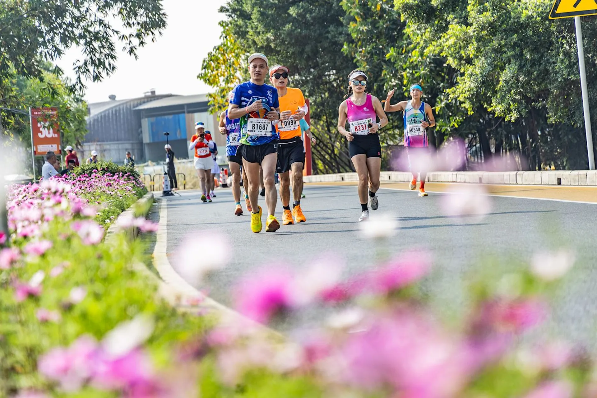 Running races 2026: marathons | Ahotu