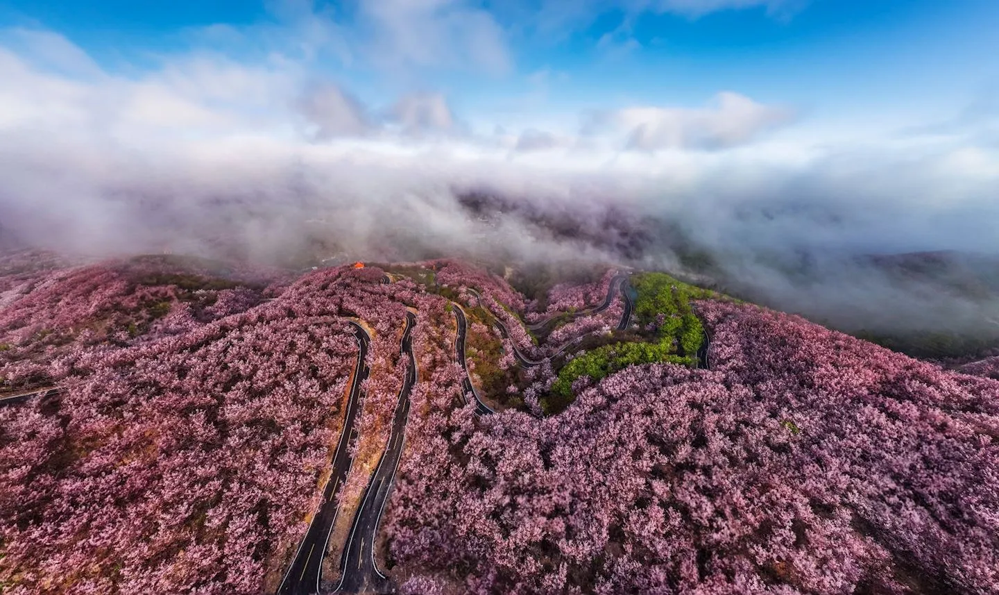 Qingliu Dafeng Mountain Trail, 01 Feb, 2026 (Sun) | Ahotu